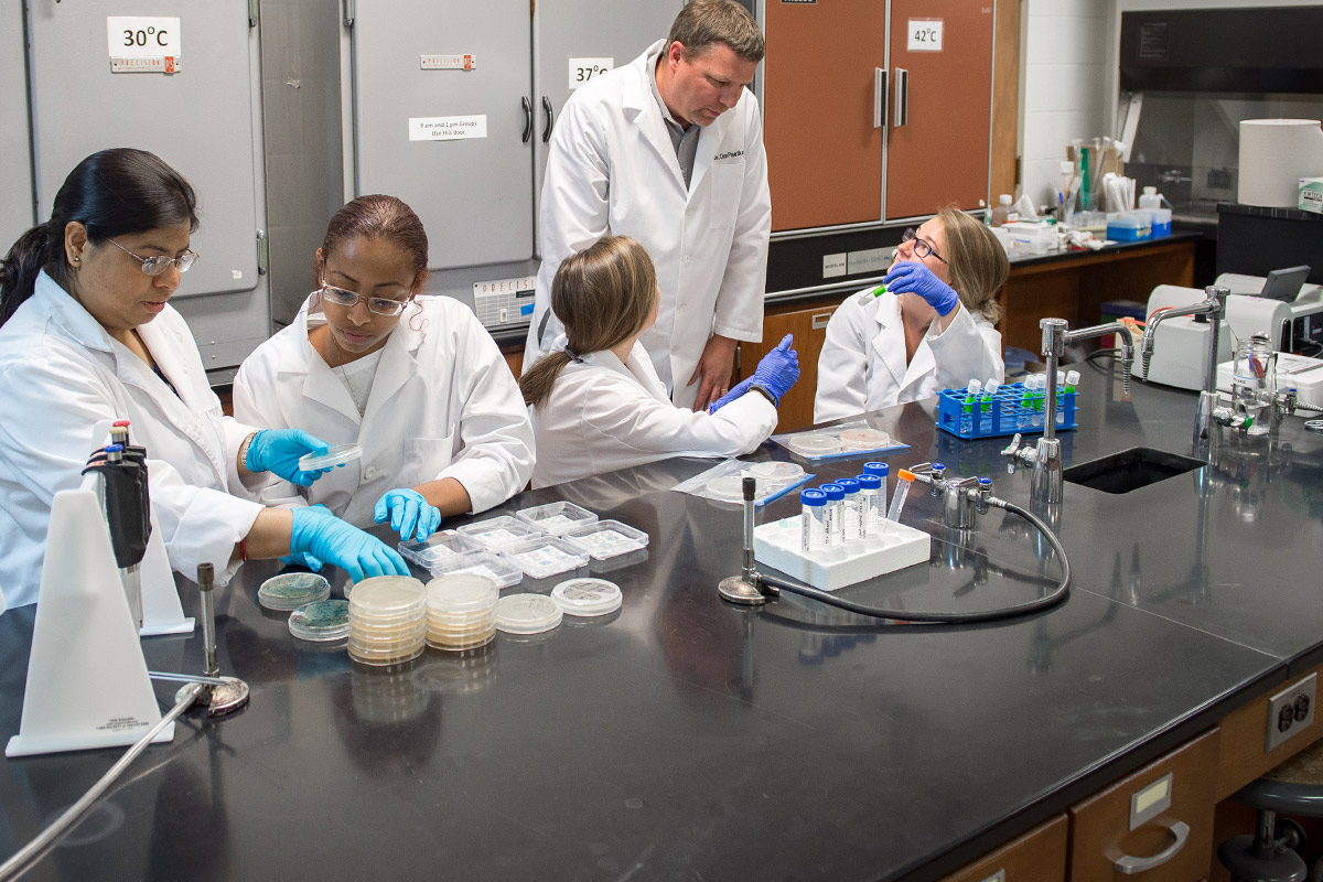 Academics | Saint Mary's College, Notre Dame, IN